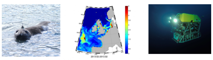 Biological Ocean Observation | European Marine Board