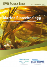 Marine Biotechnology: Advancing Innovation in Europe’s Bioeconomy ...