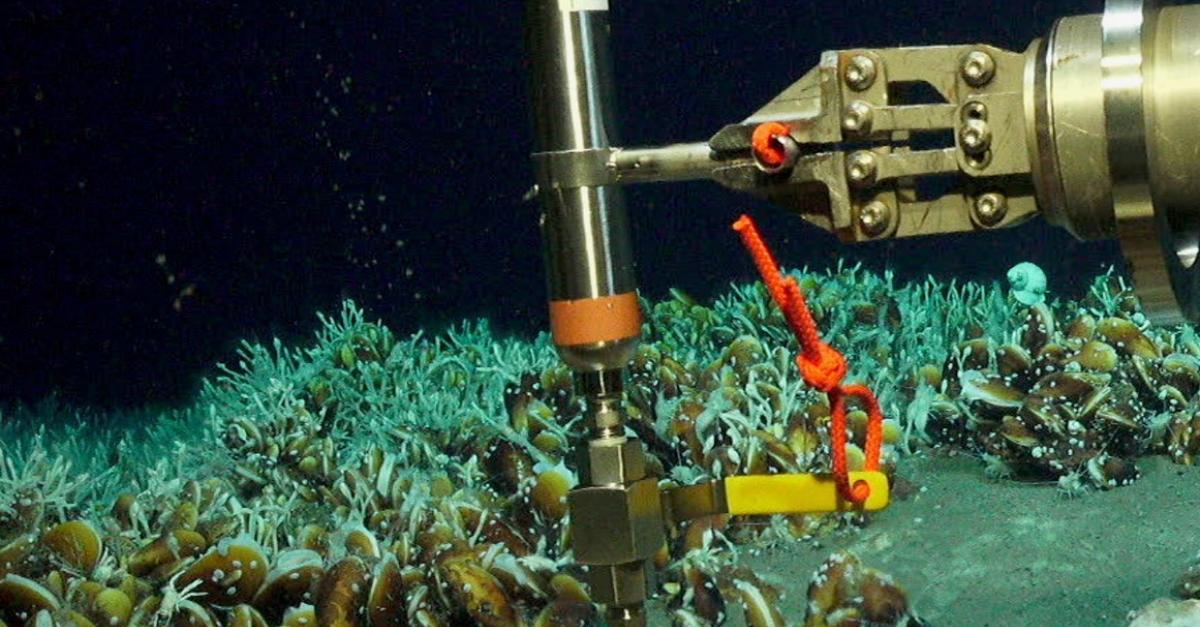 Deep-sea knowledge for effective Ocean management - Launch of EMB ...