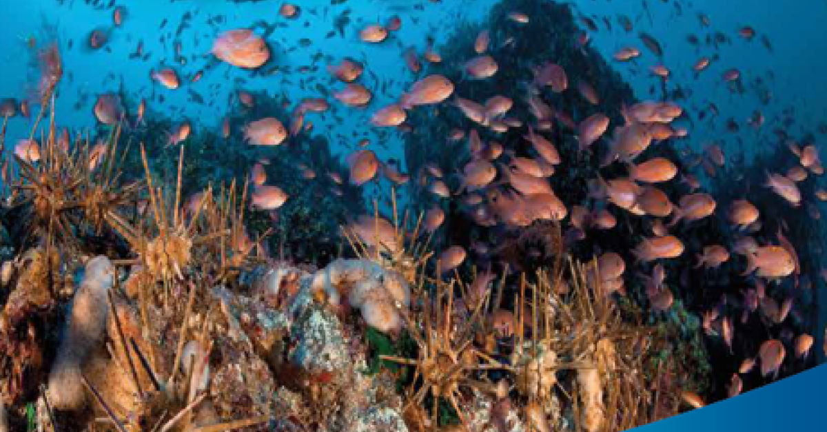 Marine habitat mapping | European Marine Board