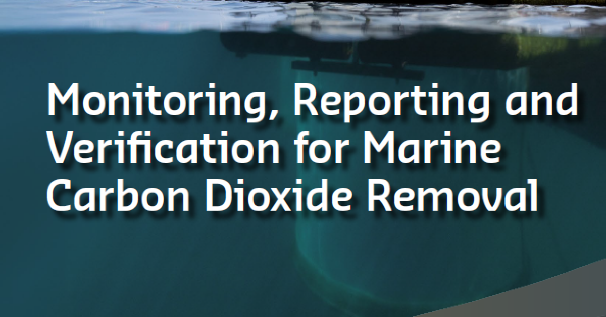 Monitoring, Reporting and Verification for marine Carbon Dioxide ...