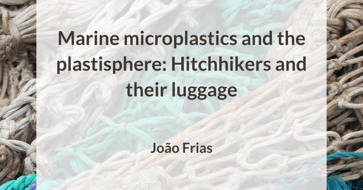 Marine microplastics and the plastisphere: Hitchhikers and their ...