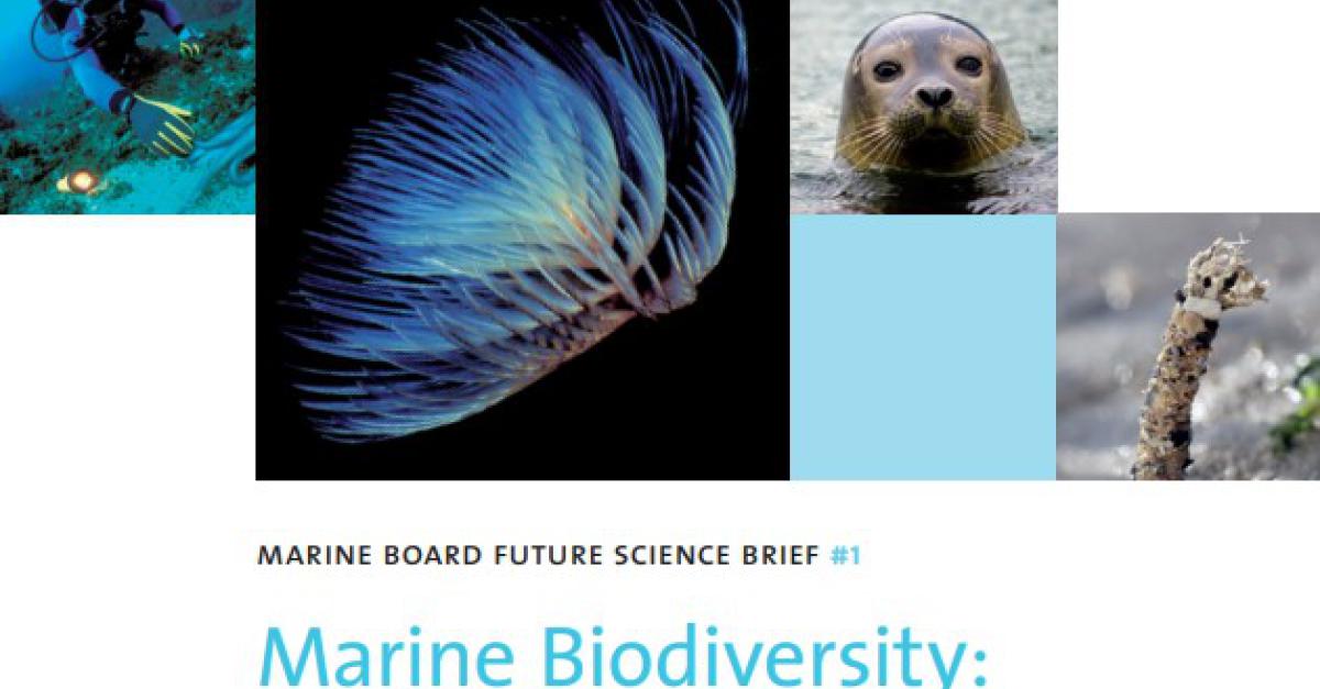 Marine Biodiversity: A Science Roadmap for Europe | European Marine Board