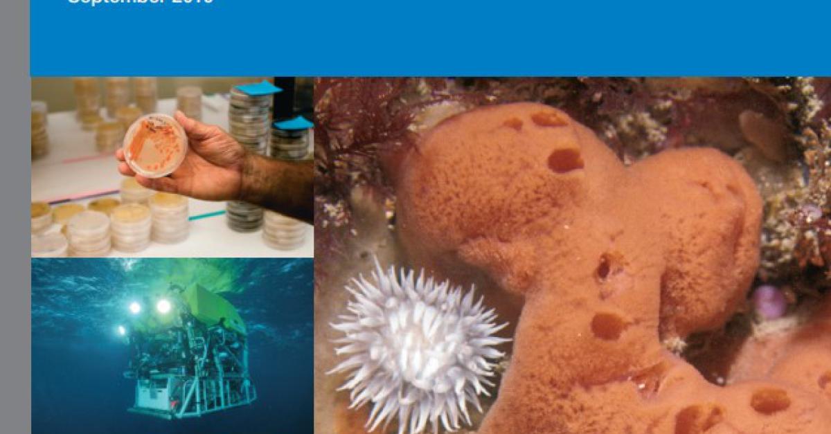 Marine Biotechnology: a Vision and Strategy for Europe | European ...